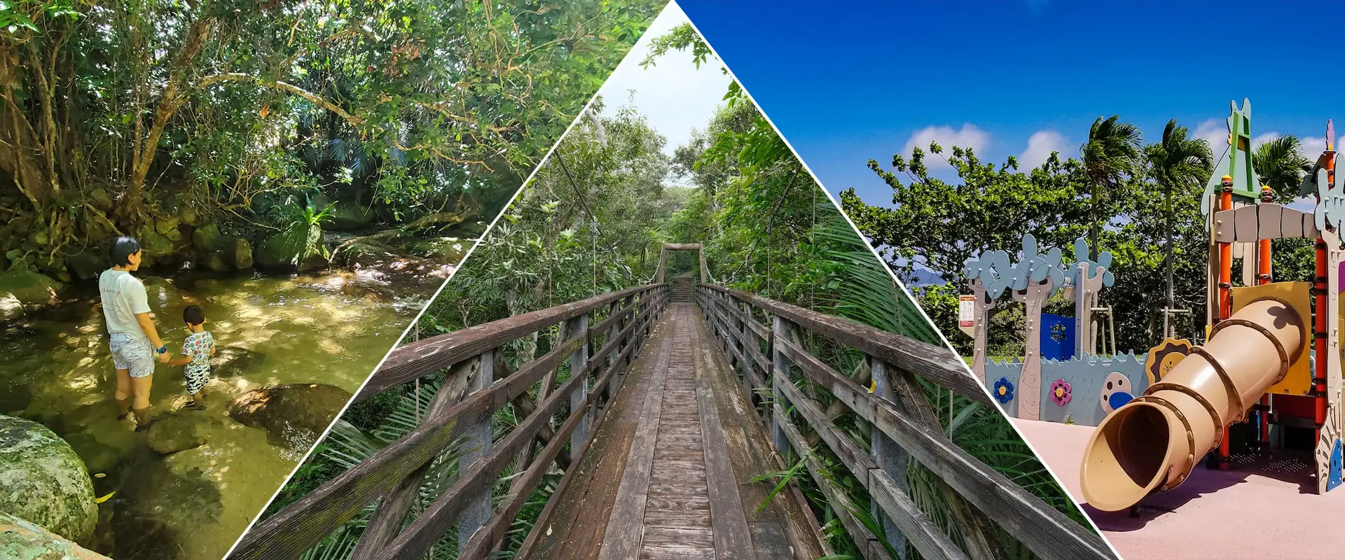 Ishigaki Family Tour - Discover Ishigaki Tours